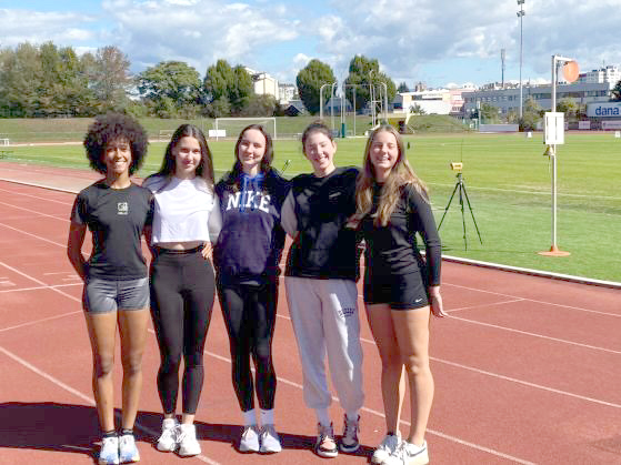 Bronaste! - Gimnazija Ledina